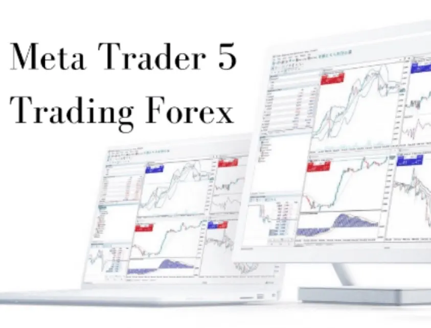 Apa itu MetaTrader MT 5 Platform Trading Forex Populer